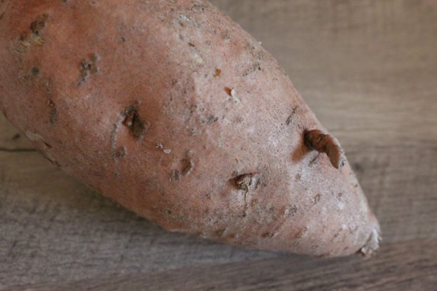 How to Grow Sweet Potatoes - Peaceful Living NH