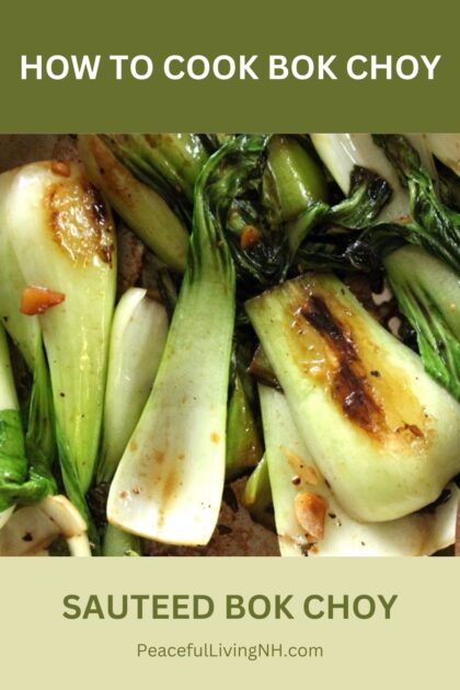How TO Cook Bok Choy – From Farm To Table - Peaceful Living NH